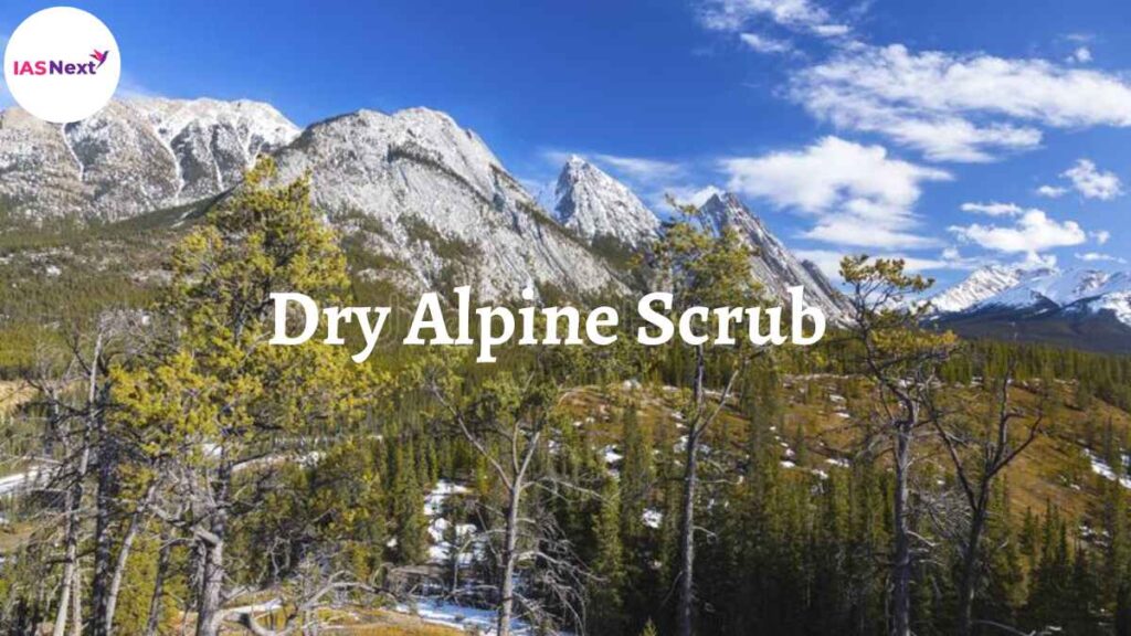 Dry Alpine Scrub
