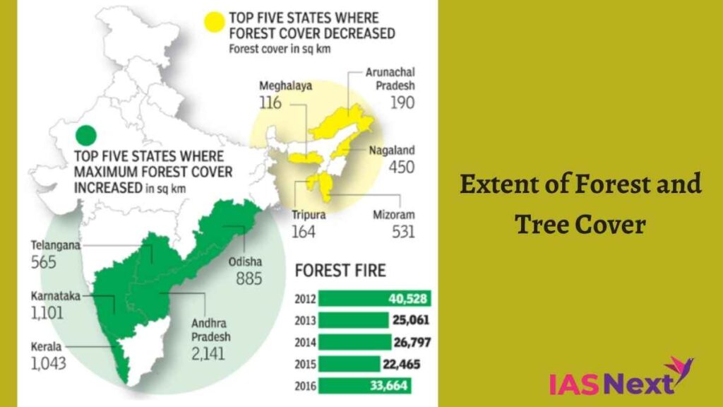 Extent of Forest and Tree Cover