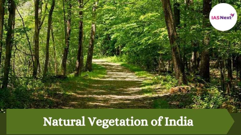 Natural Vegetation of India