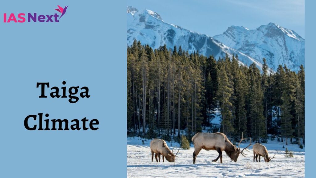 Taiga Climate