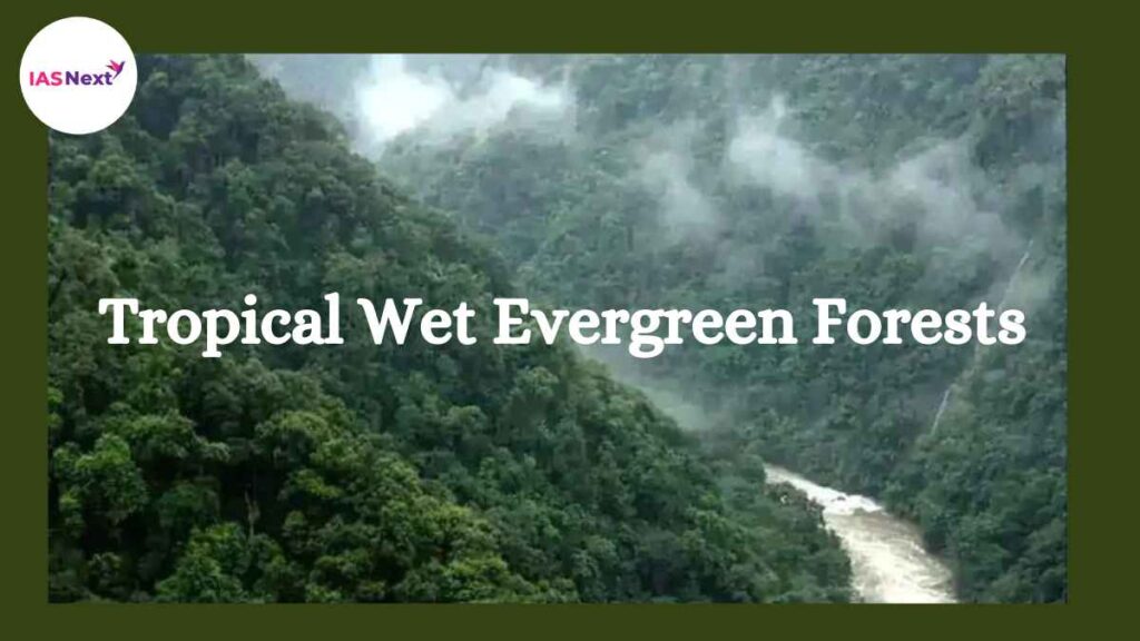 Tropical Wet Evergreen Forests