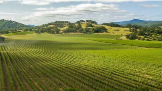 Mediterranean Climate