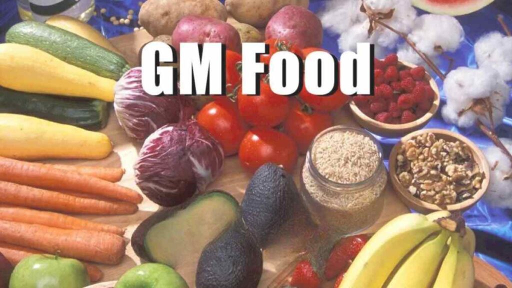 GM food and sustainable food production