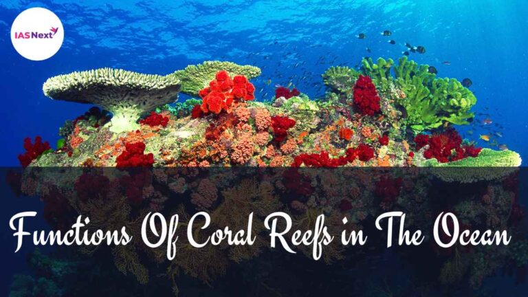 Functions Of Coral Reefs in The Ocean