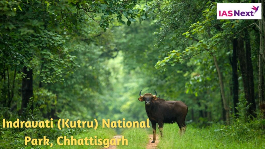 Indravati (Kutru) National Park, Chhattisgarh