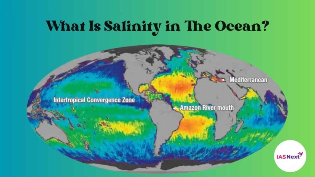 What Is Salinity in The Ocean?