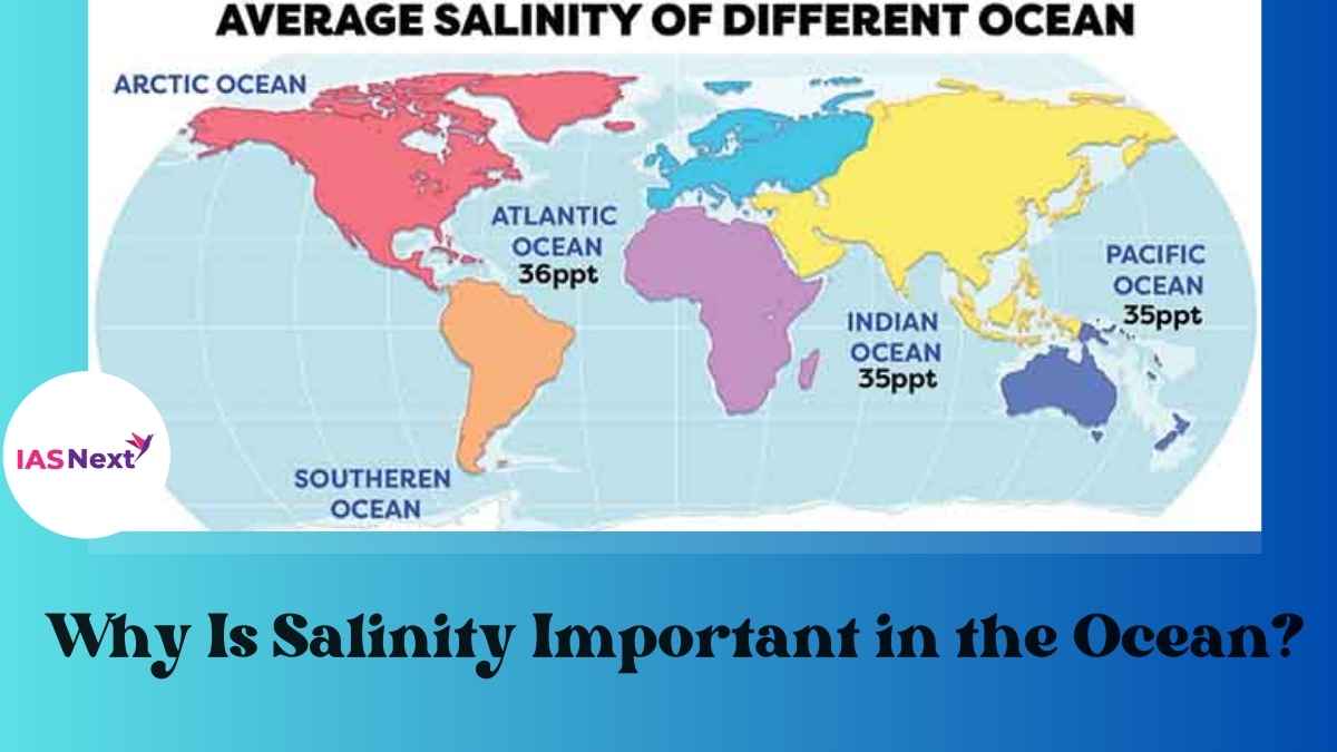 Why Is Salinity Important in the Ocean?