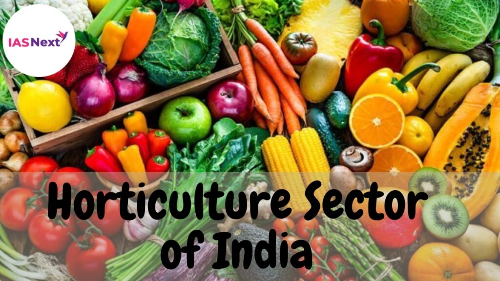 The Horticulture Sector of India