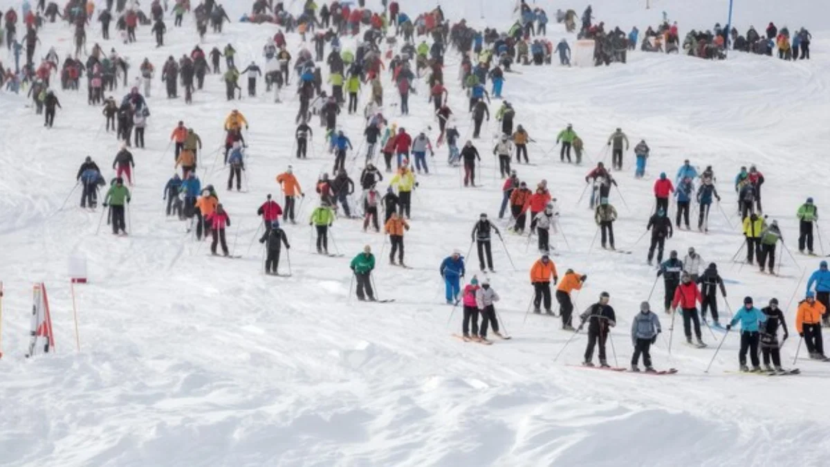 Overcrowding in Antarctica