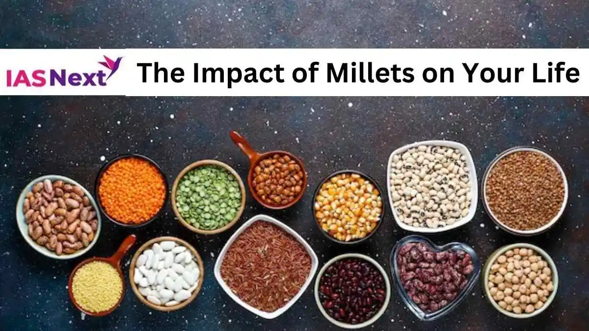 The Impact of Millets on Your Life