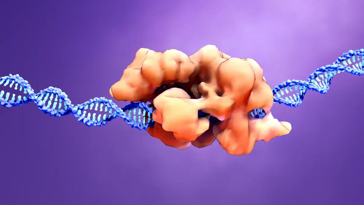 CRISPR-Cas9