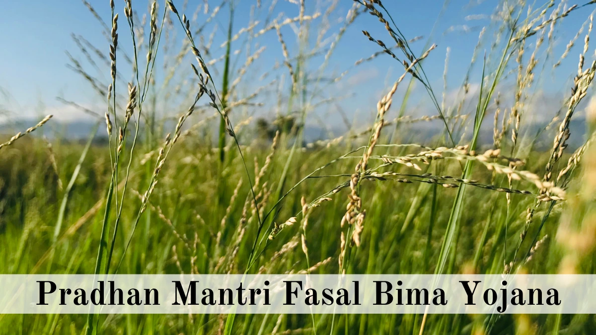 Pradhan Mantri Fasal Bima Yojana (PMFBY)